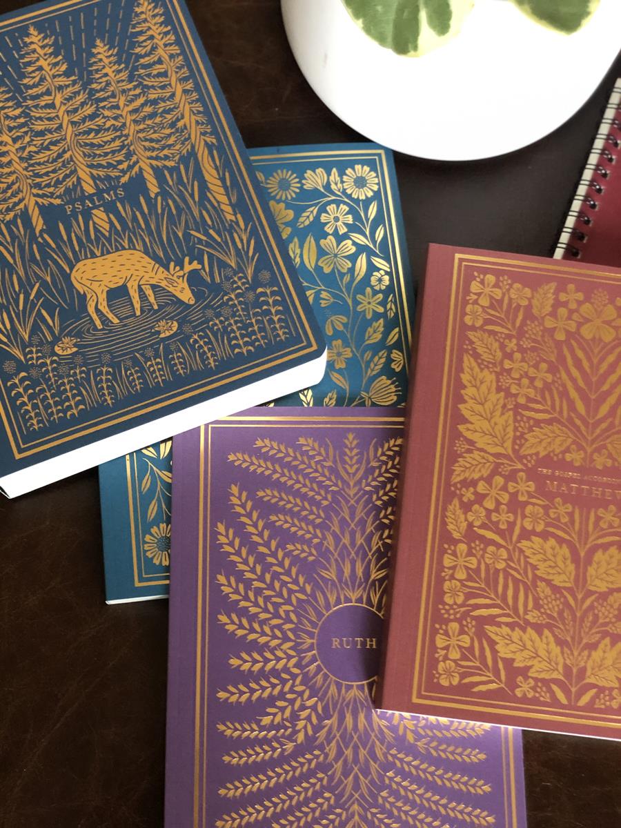 ESV Illuminated Scripture Journal Bible ( Sunday Reading ) - From Our ...