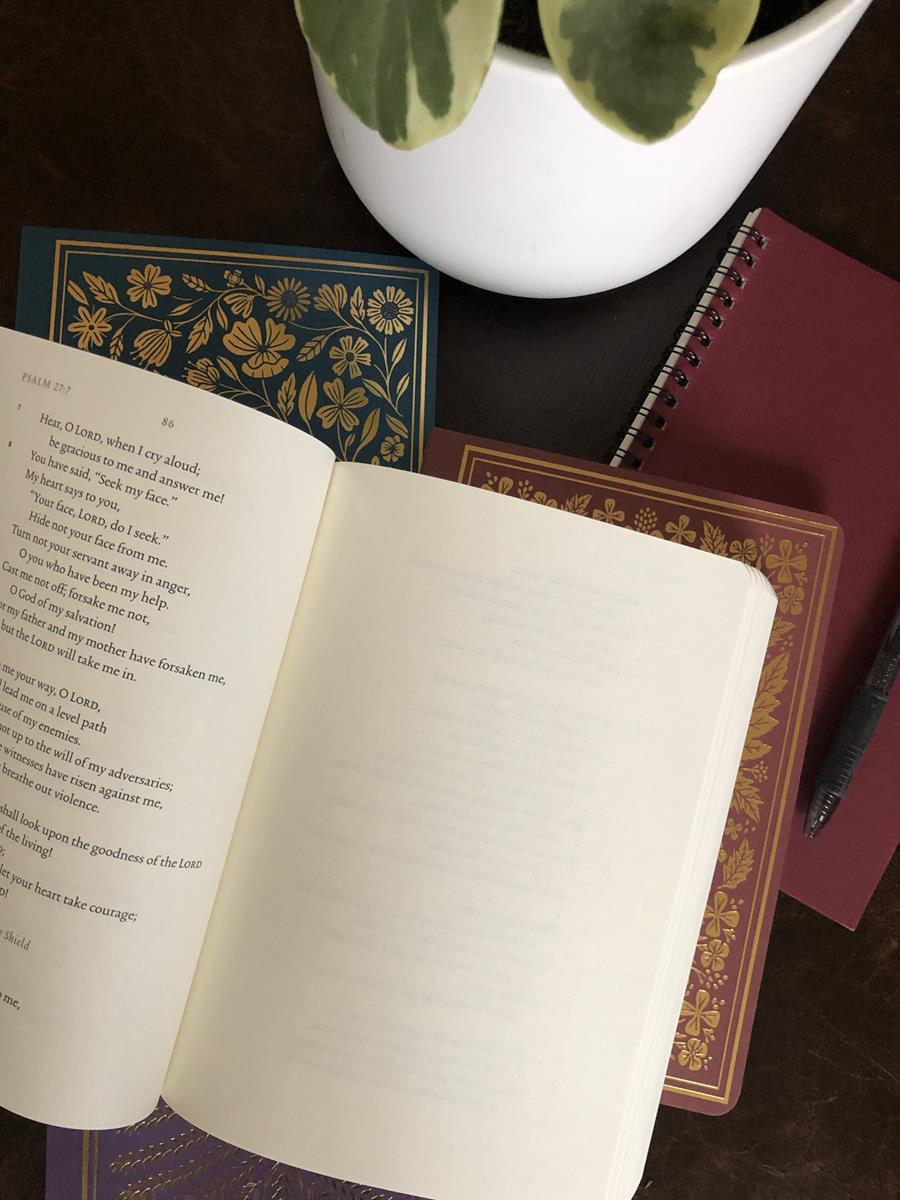 ESV Illuminated Scripture Journal Bible ( Sunday Reading ) - From Our ...