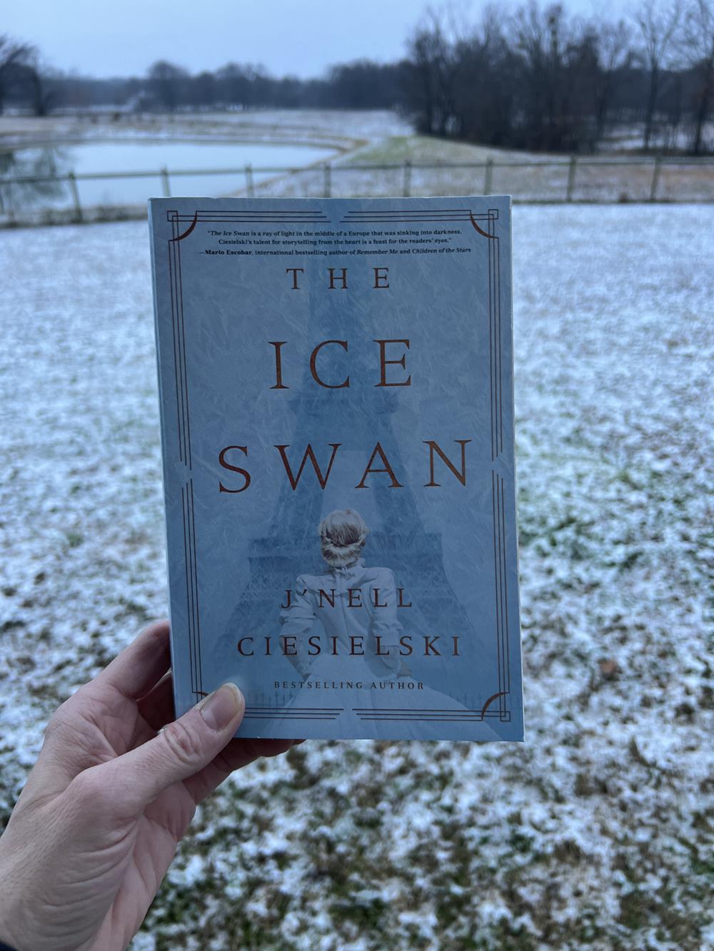 The Ice Swan - From Our Bookshelf