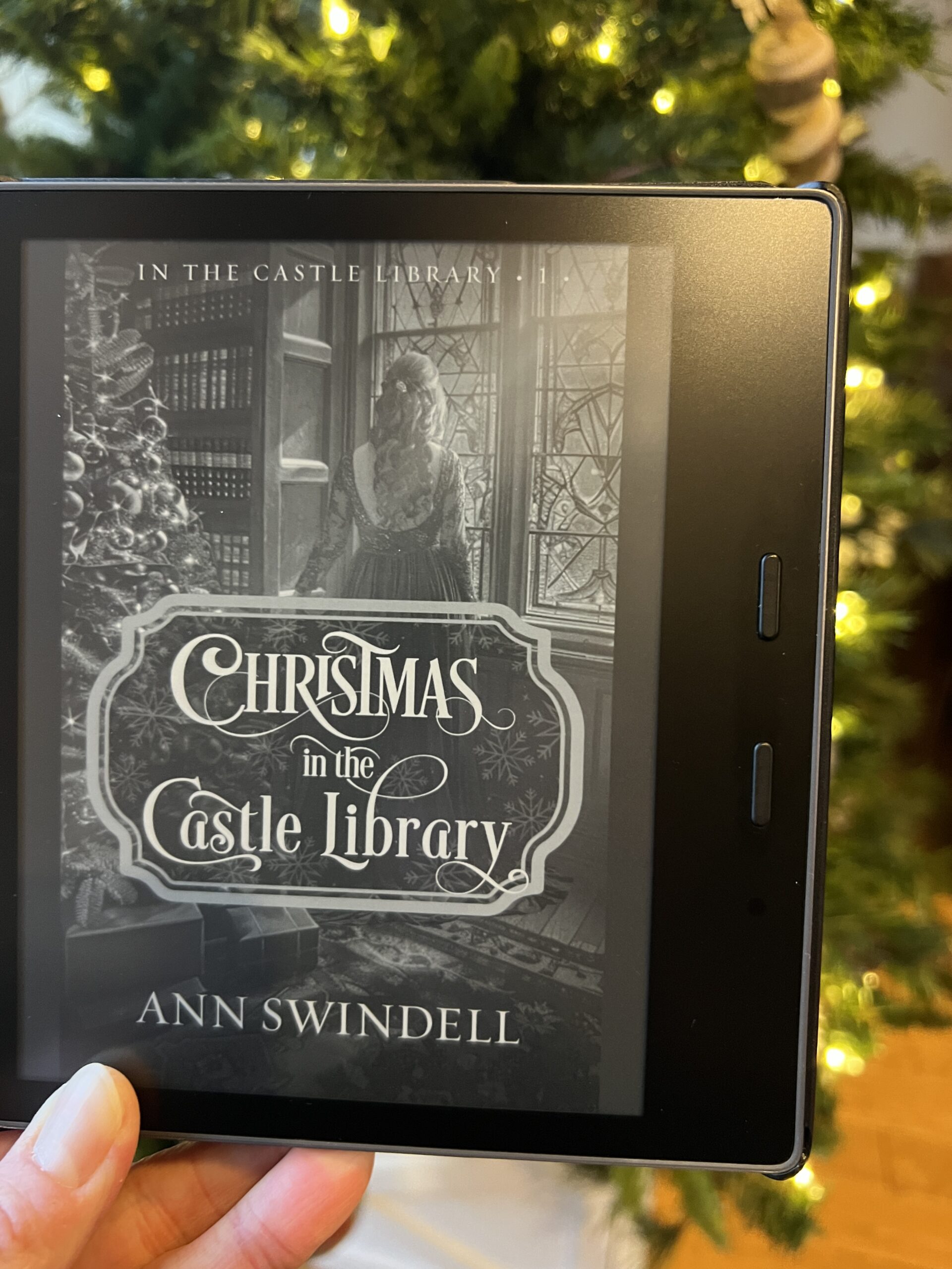 Christmas In the Castle Library - From Our Bookshelf
