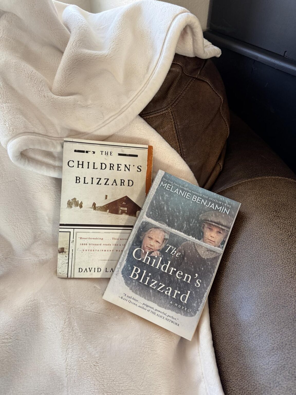 The Children's Blizzard Book Pairing - From Our Bookshelf